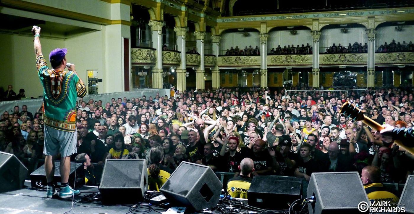 Wonk Unit Official | DIY Punk and creators of Wonkfest